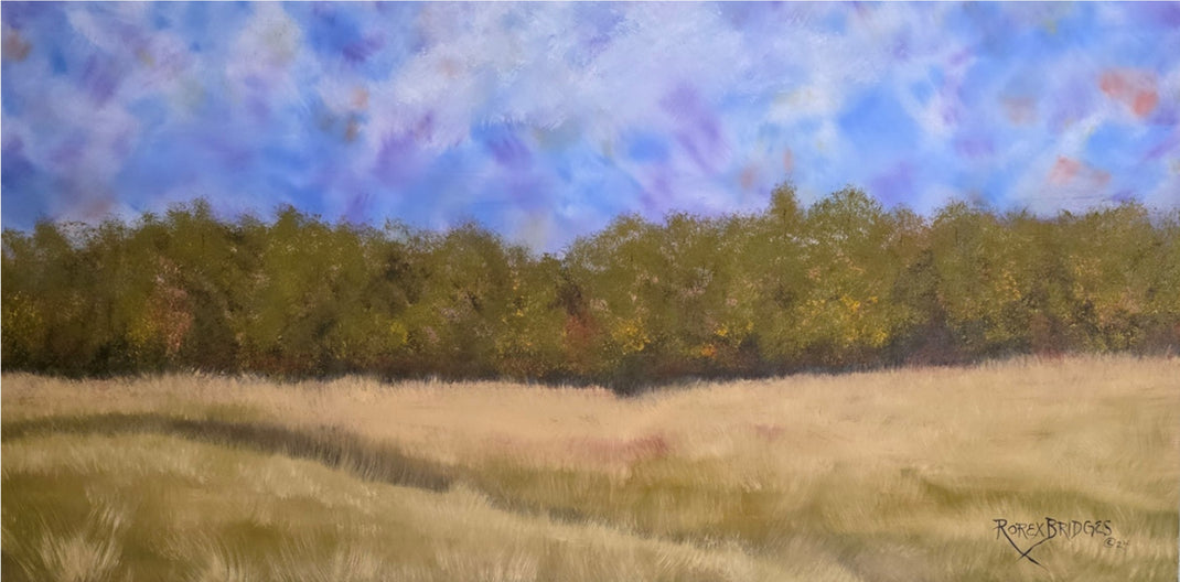 Rorex Bridges Studio — Native American Artist Jeanne Rorex Bridges